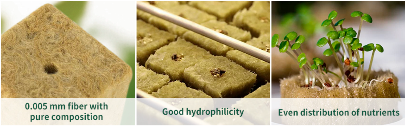 The Ultimate Guide to Using 1" Rockwool Cubes for Hydroponic Success ...